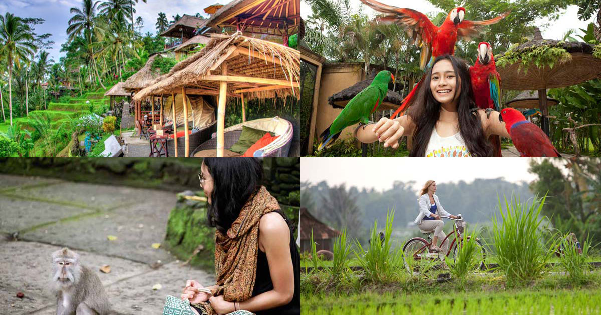 Jalan Jalan Di Ubud 1 Hari - itinerary Favorit Wisatawan | Wira Tour