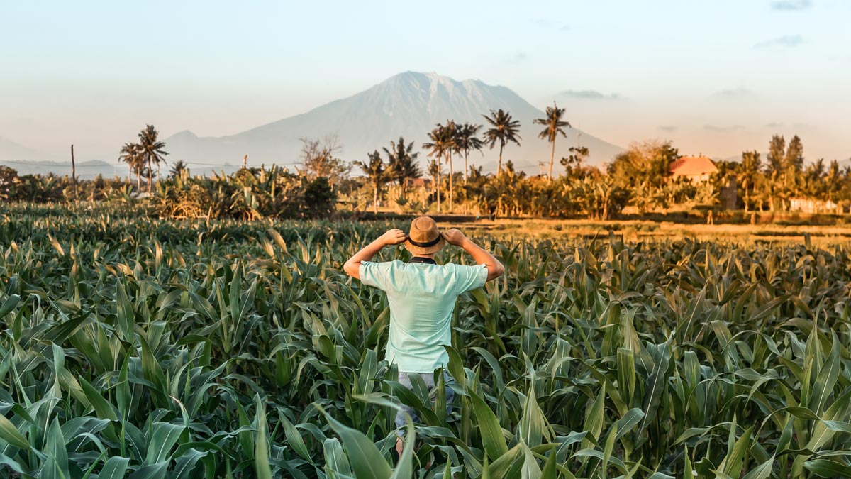 Cuaca Di Bali Pada Bulan Oktober, Apakah Cocok Untuk Liburan?
