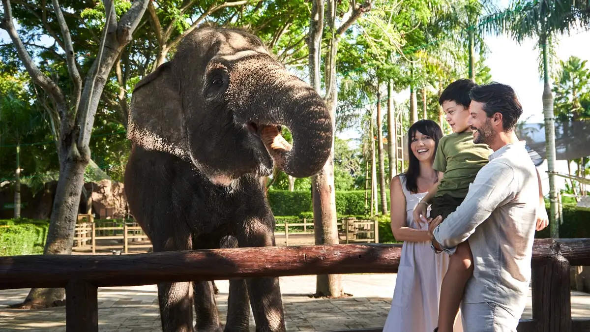 Harga Tiket Bali Zoo 2026 WNI/KITAS